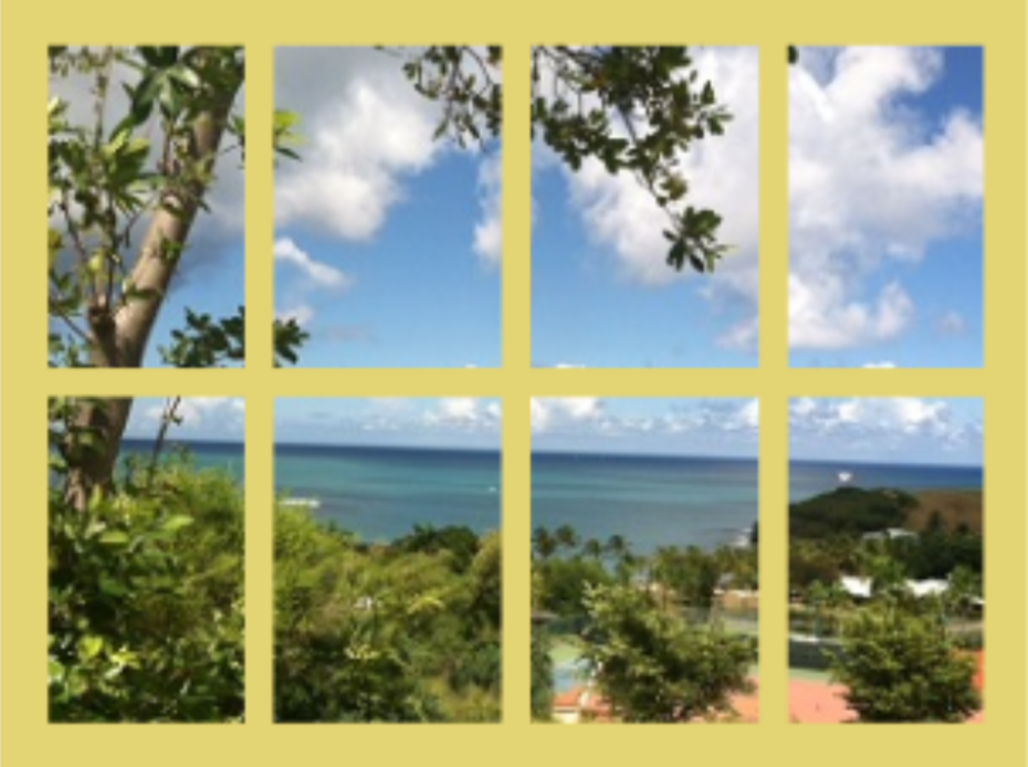 CompSci 290 : Spring 2021